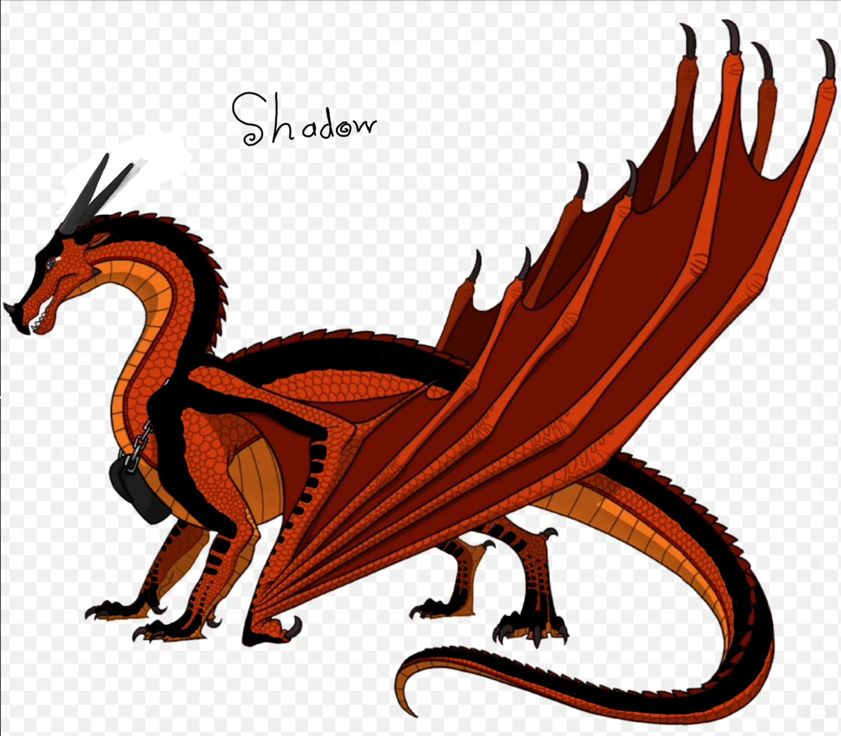Shadow | FlourishFox52, LeafwingQueen and friends Wiki | Fandom