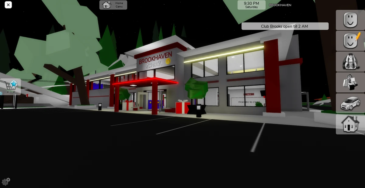 Brookhaven School | Flower and Marigold Wiki | Fandom