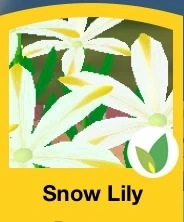 Snow Lily | Flower Garden Wiki | Fandom
