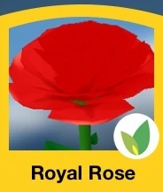 Royal Rose | Flower Garden Wiki | Fandom