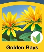 Golden Rays | Flower Garden Wiki | Fandom
