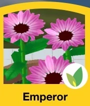Emperor | Flower Garden Wiki | Fandom