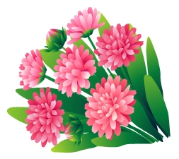 Pink Marigold | Flower Shop Wiki | Fandom