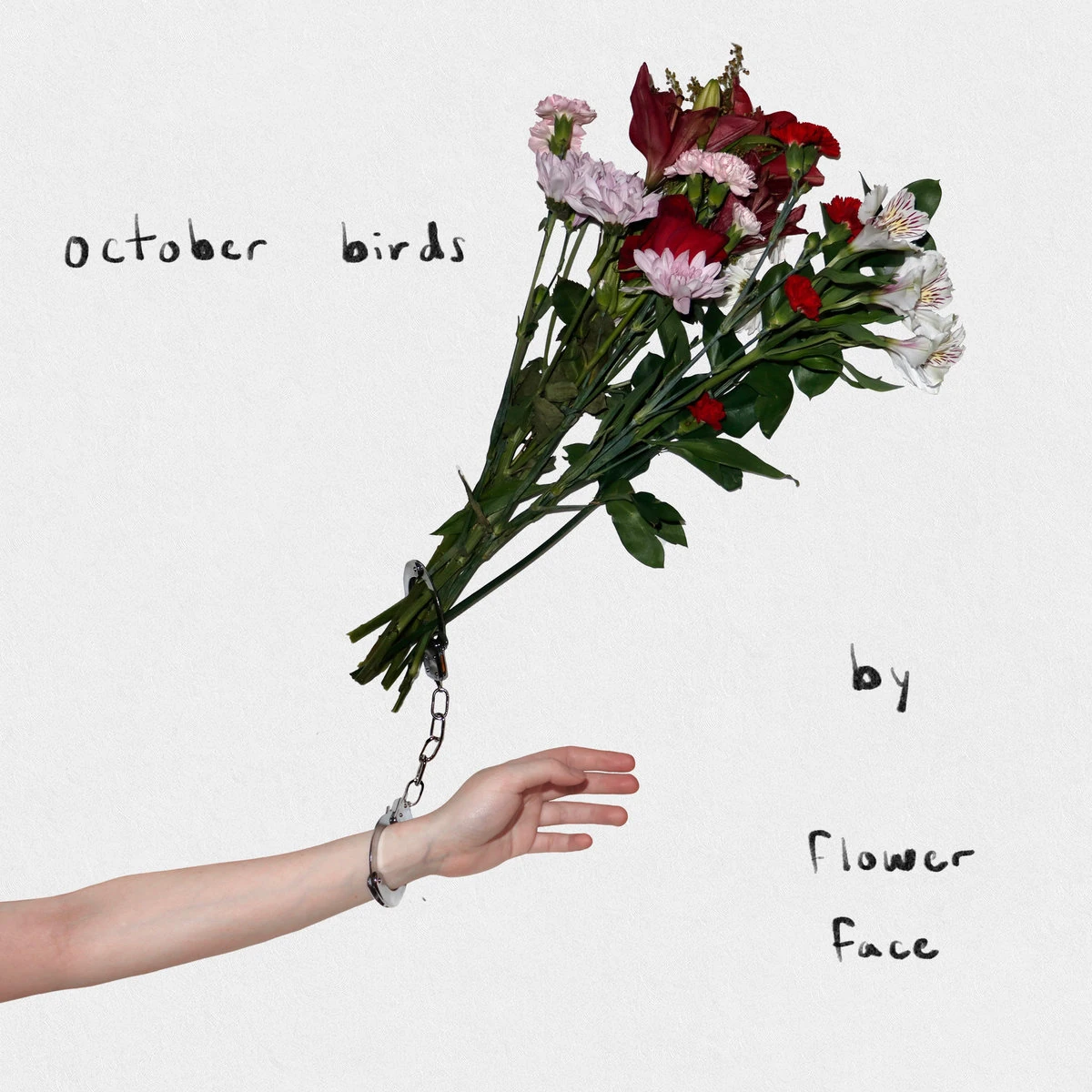 October Birds | Flower Face Wiki | Fandom