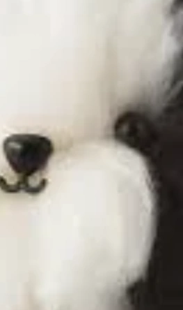 The fluff | Fluffables Wiki | Fandom