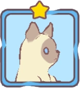 Siamese Cat | Cats & Soup: Fluffy Town Wiki | Fandom