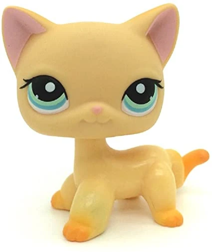 Kittty | Fluffy Bunch Wiki | Fandom