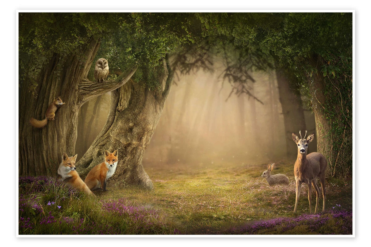 Tree Sweet Tree | Fluffy Bunch Wiki | Fandom