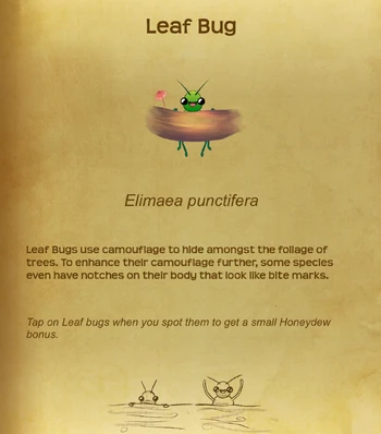 Leaf Bug | Flutter Butterfly Sanctuary Wiki | Fandom