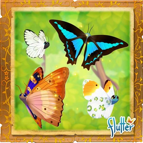 Tsubasa | Flutter Butterfly Sanctuary Wiki | Fandom