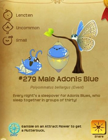 Adonis Blue | Flutter Butterfly Sanctuary Wiki | Fandom