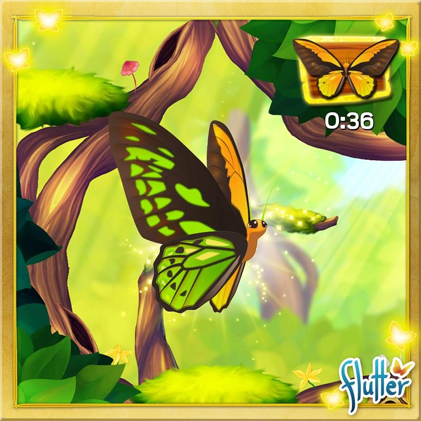 Butterfly Bonanza | Flutter Butterfly Sanctuary Wiki | Fandom