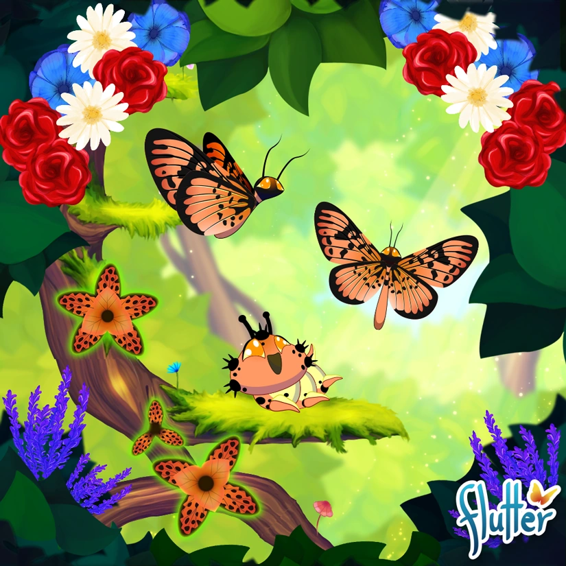 Blood-red Acraea | Flutter Butterfly Sanctuary Wiki | Fandom