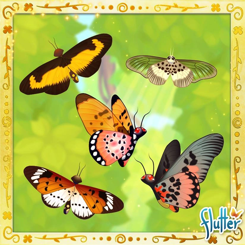 Acraea | Flutter Butterfly Sanctuary Wiki | Fandom
