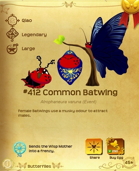 Common Batwing | Flutter Butterfly Sanctuary Wiki | Fandom