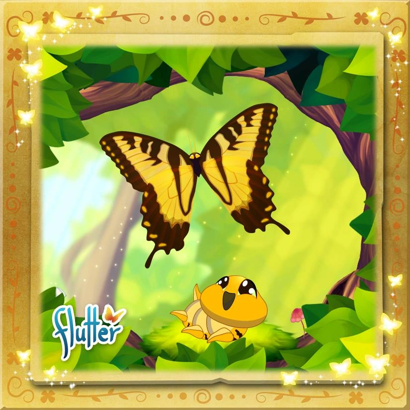 Category:Common | Flutter Butterfly Sanctuary Wiki | Fandom