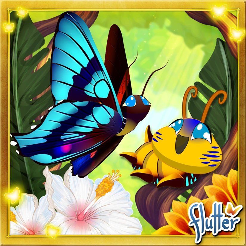 Regal Inca King | Flutter Butterfly Sanctuary Wiki | Fandom