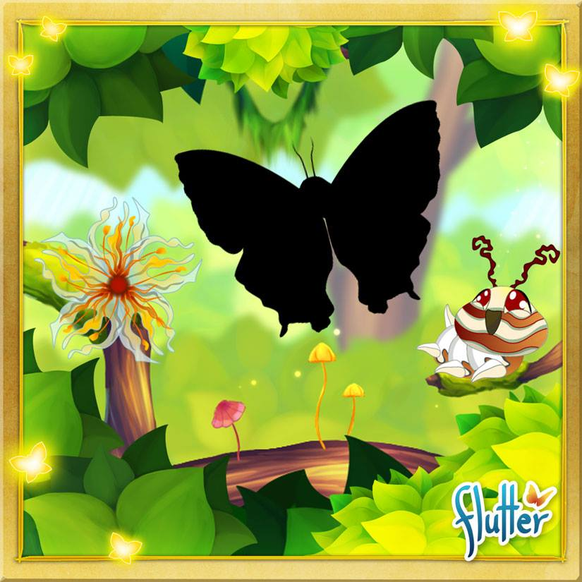 Indian Map Flutter Butterfly Sanctuary Wiki Fandom