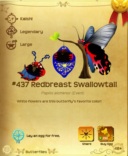 Redbreast Swallowtail Flutter Butterfly Sanctuary Wiki Fandom