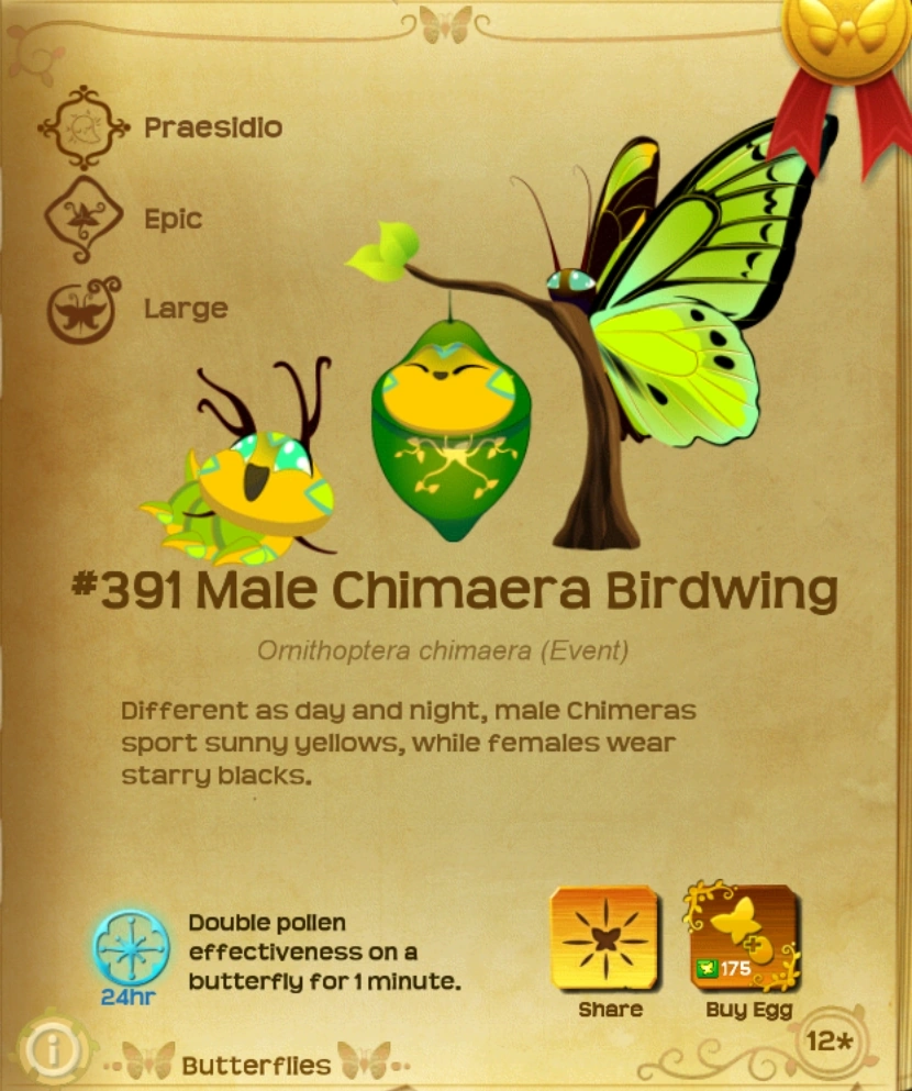 Male Chimaera Birdwing | Flutter Butterfly Sanctuary Wiki | Fandom