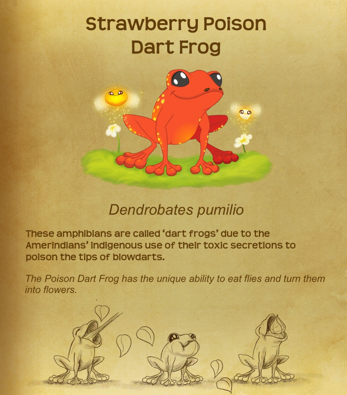 Strawberry Poison Dart Frogs