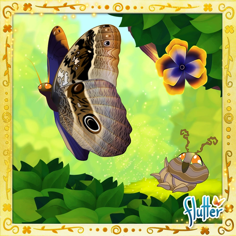 Purple Owl Butterfly | Flutter Butterfly Sanctuary Wiki | Fandom