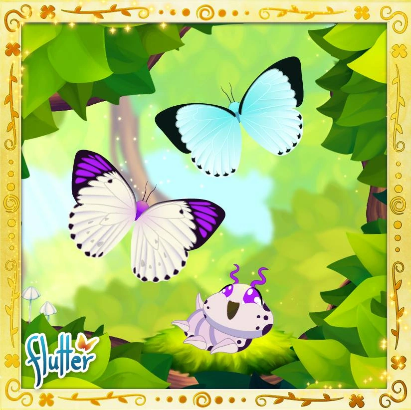 Colotis | Flutter Butterfly Sanctuary Wiki | Fandom