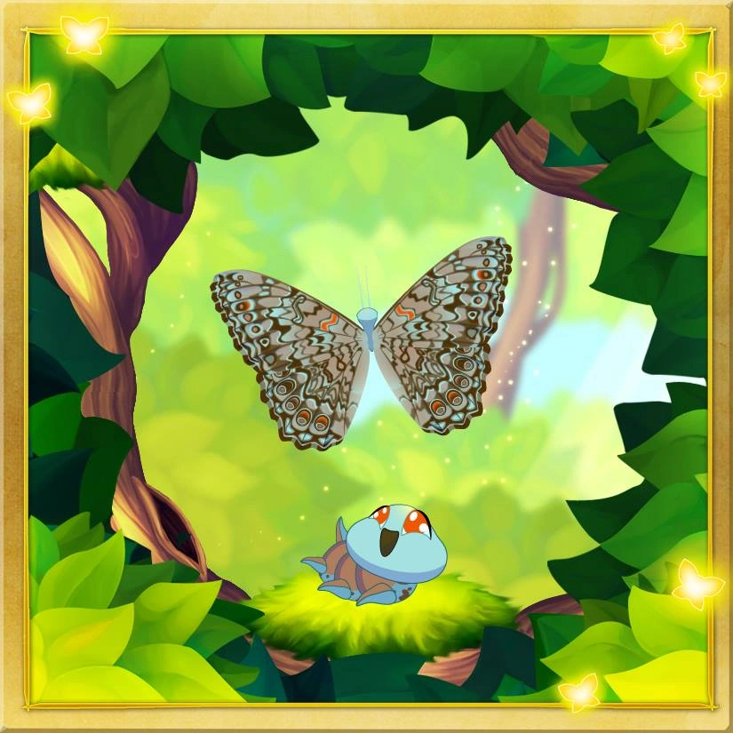 Febura Cracker | Flutter Butterfly Sanctuary Wiki | Fandom