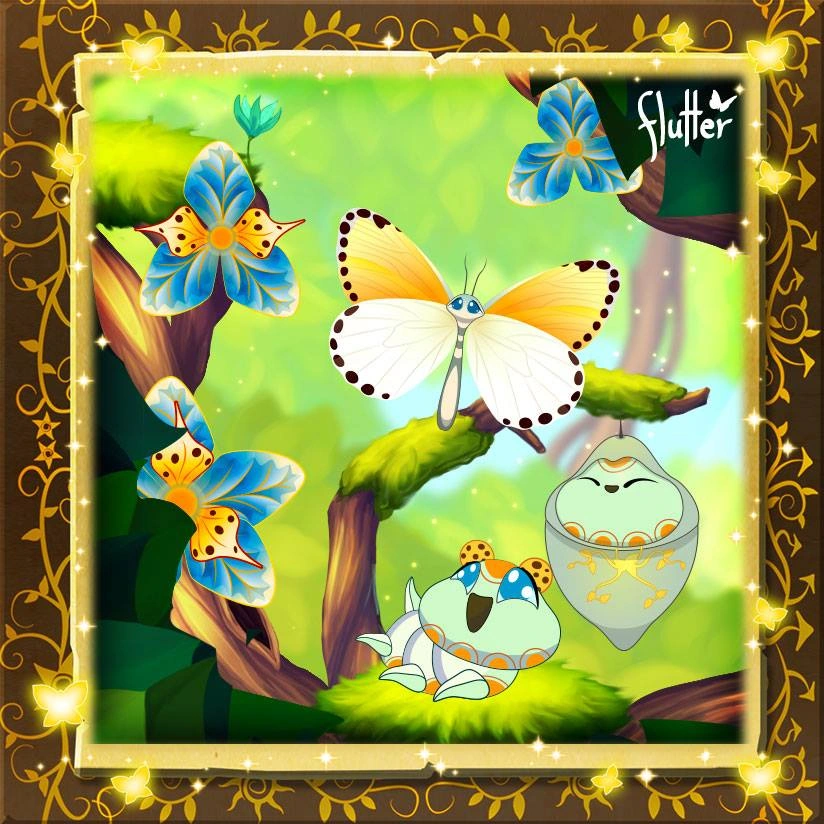 Splendid Dotted Border | Flutter Butterfly Sanctuary Wiki | Fandom