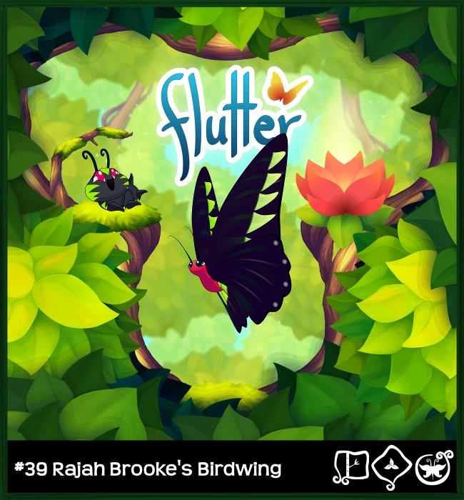 Rajah Brooke's Birdwing | Flutter Butterfly Sanctuary Wiki | Fandom