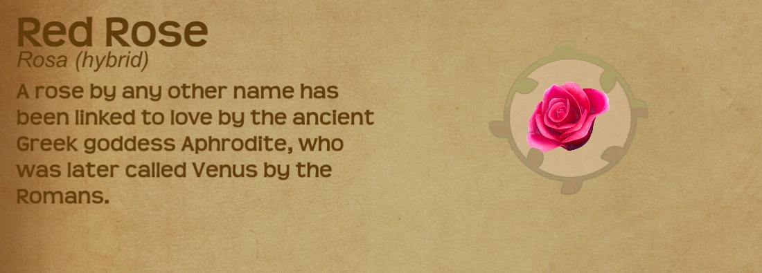 Red Rose | Flutter: Starlight Wikia | Fandom