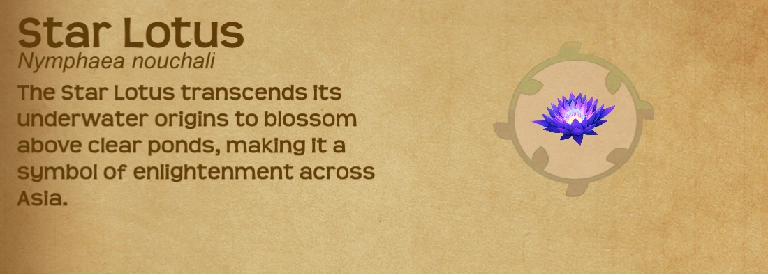 Star Lotus | Flutter: Starlight Wikia | Fandom