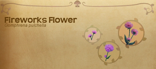 Fireworks Flower | Flutter: Starlight Wikia | Fandom