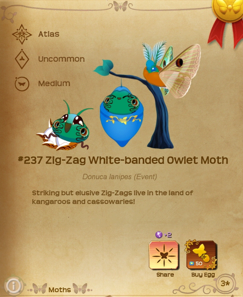 Zig-Zag White-banded Owlet Moth | Flutter: Starlight Wikia | Fandom