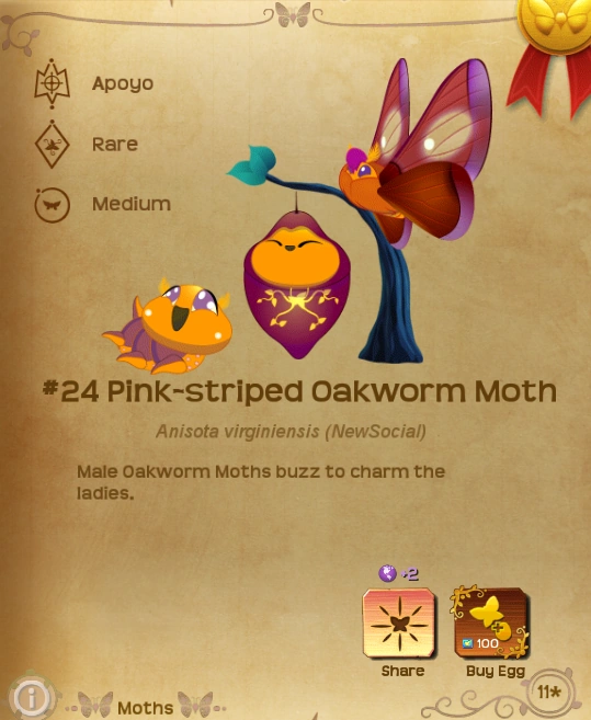 Pink-striped Oakworm Moth | Flutter: Starlight Wikia | Fandom