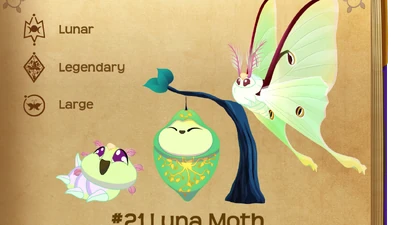 Discuss Everything About Flutter: Starlight Wikia | Fandom