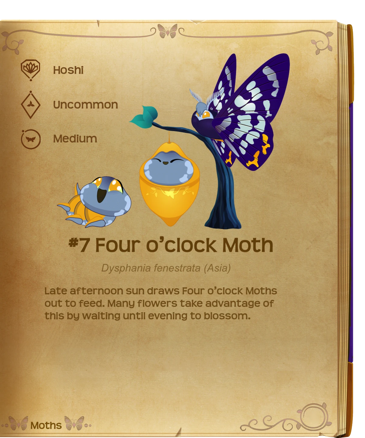 Four o'clock Moth | Flutter: Starlight Wikia | Fandom