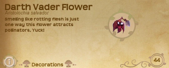 Darth Vader Flower | Flutter: Starlight Wikia | Fandom