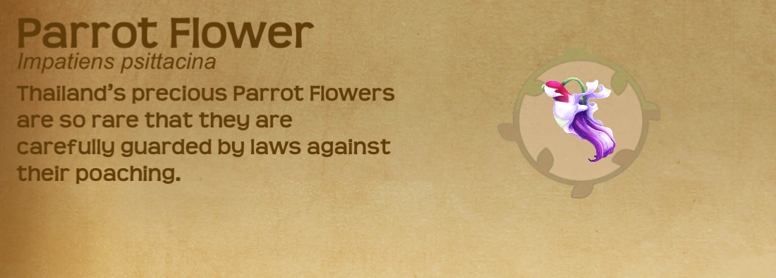 Parrot Flower | Flutter: Starlight Wikia | Fandom