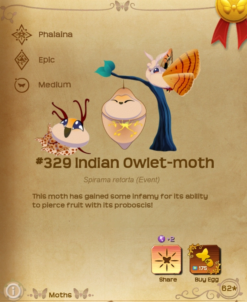 Indian Owlet-moth | Flutter: Starlight Wikia | Fandom