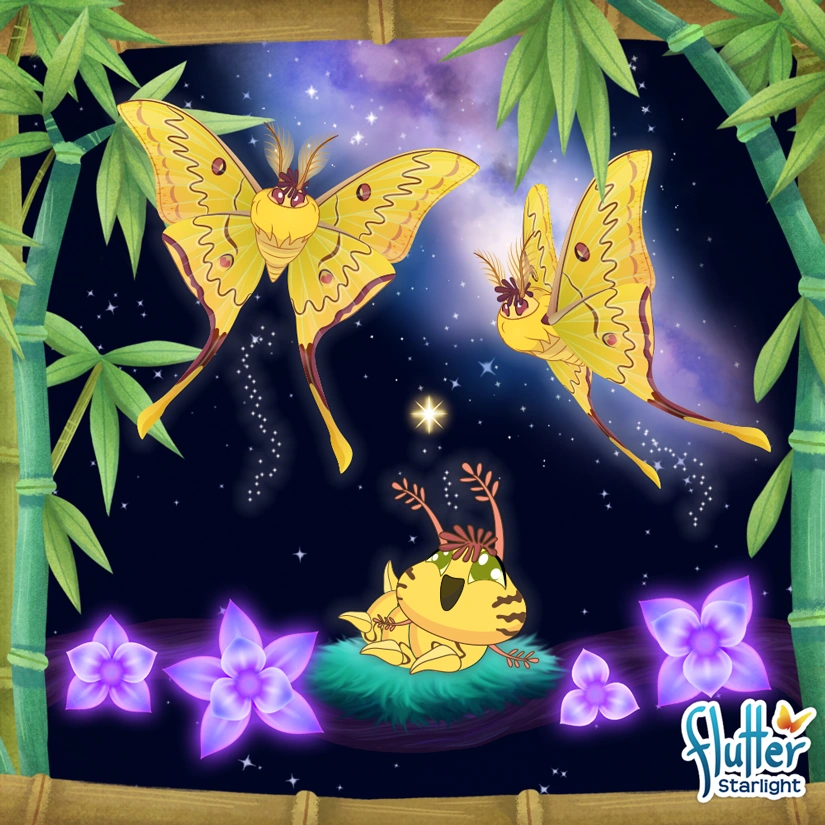 Male Western Chinese Moon Moth | Flutter: Starlight Wikia | Fandom