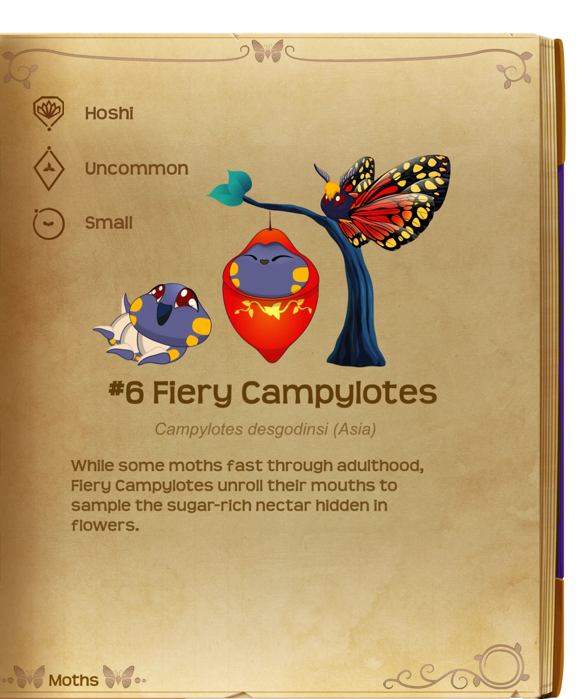 Fiery Campylotes | Flutter: Starlight Wikia | Fandom