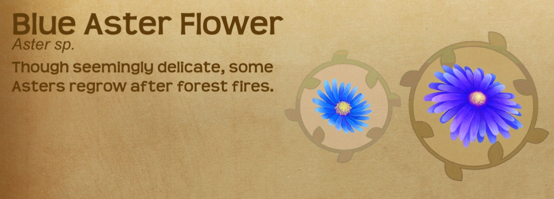 Blue Aster Flower | Flutter: Starlight Wikia | Fandom