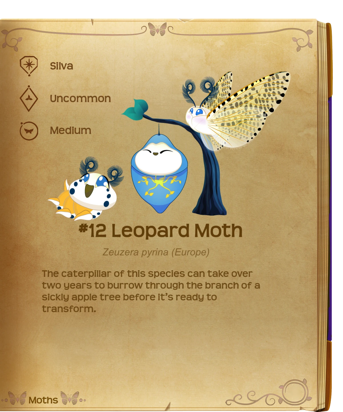 Leopard Moth | Flutter: Starlight Wikia | Fandom