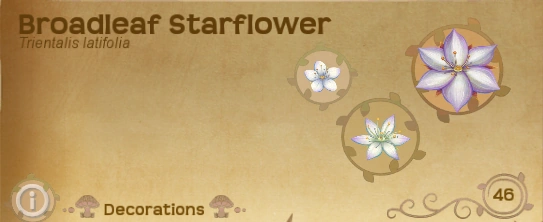 Broadleaf Starflower | Flutter: Starlight Wikia | Fandom