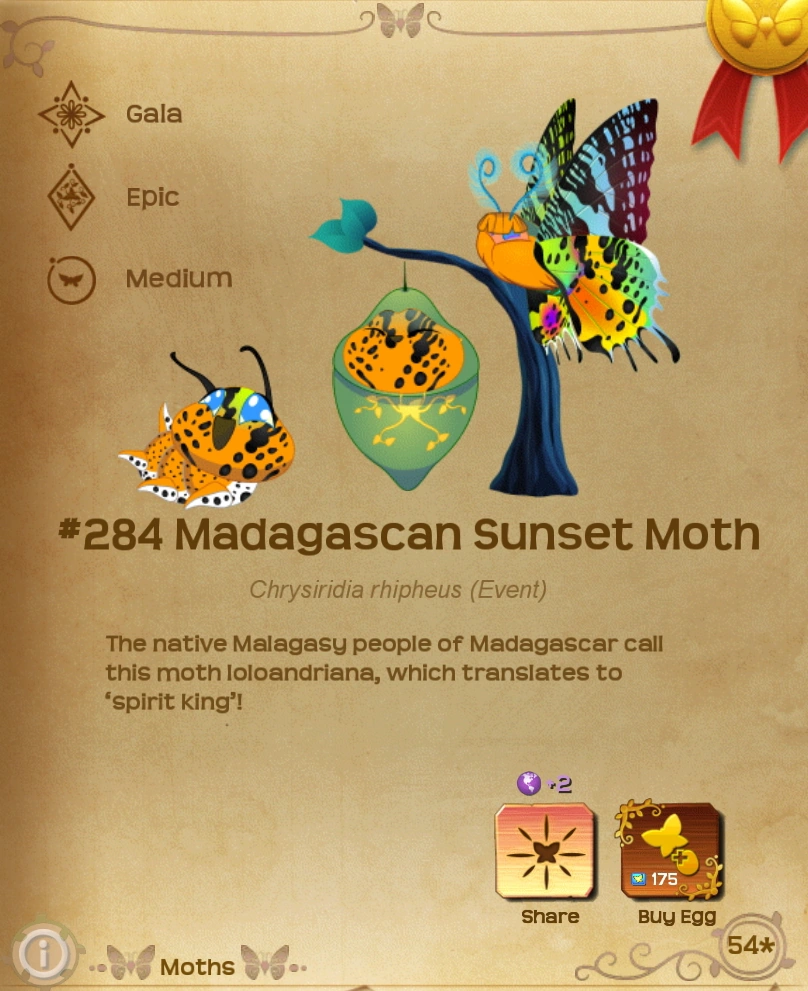 Madagascan Sunset Moth | Flutter: Starlight Wikia | Fandom