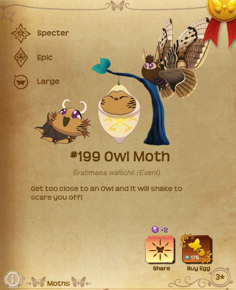 Owl Moth | Flutter: Starlight Wikia | Fandom