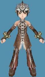 Psykeeper Armor | Flyff Wiki | Fandom