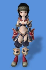 Billposter Armor | Flyff Wiki | Fandom