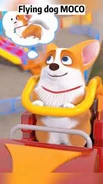 Moco | Flying Moco Wiki | Fandom